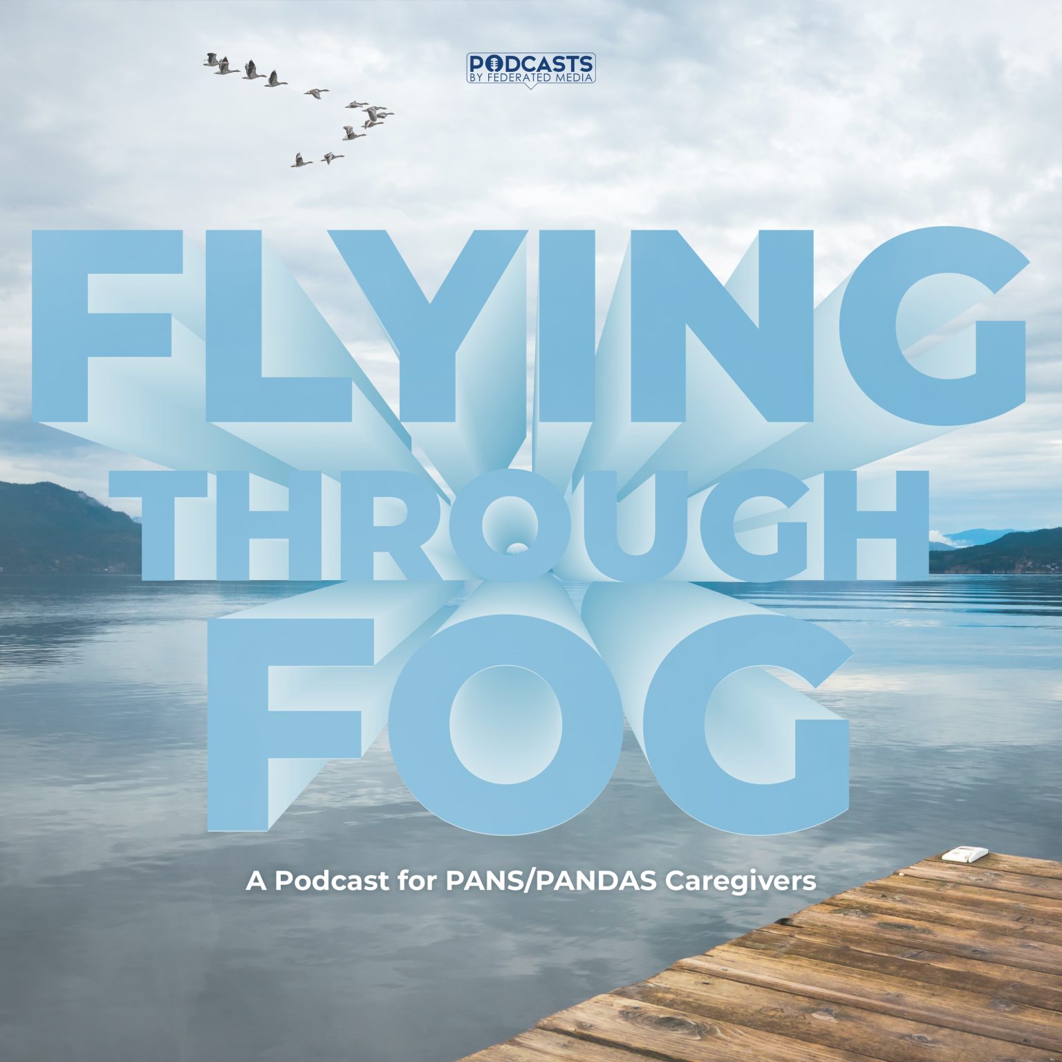 Flying Through Fog: A Podcast For PANS/PANDAS Caregivers – Podcasts by ...